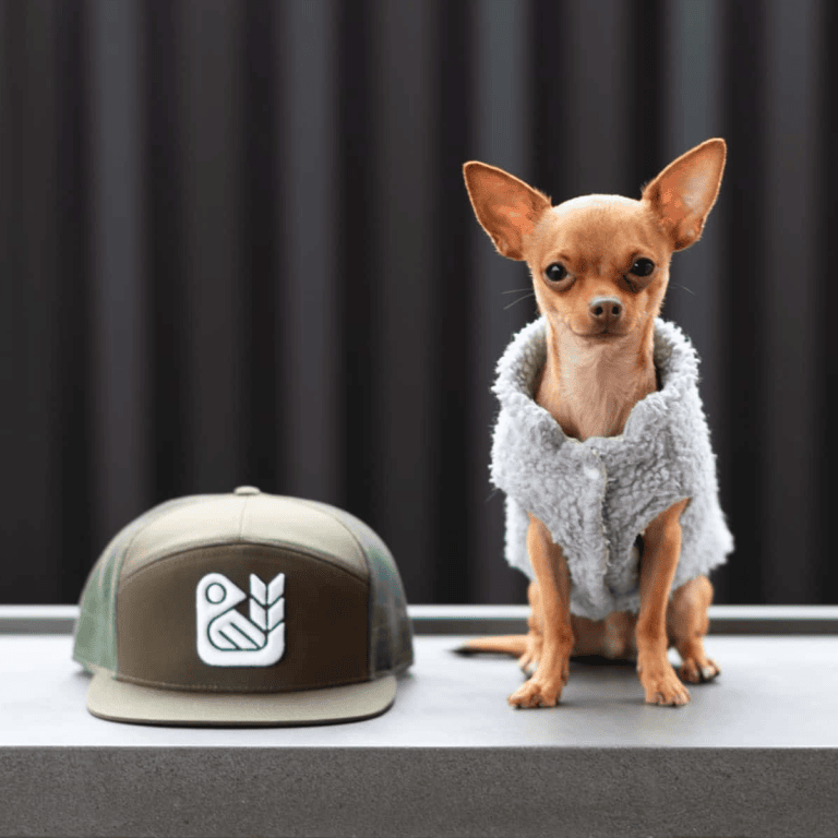 Red Bird Brewing - Craft Beer, Pizza & Live Music in Kelowna