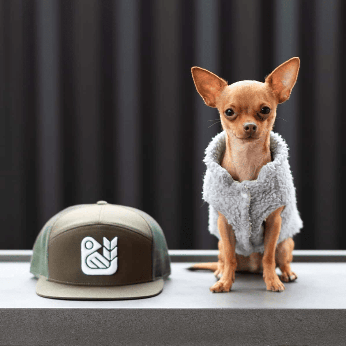 Red Bird Brewing - Craft Beer, Pizza & Live Music in Kelowna