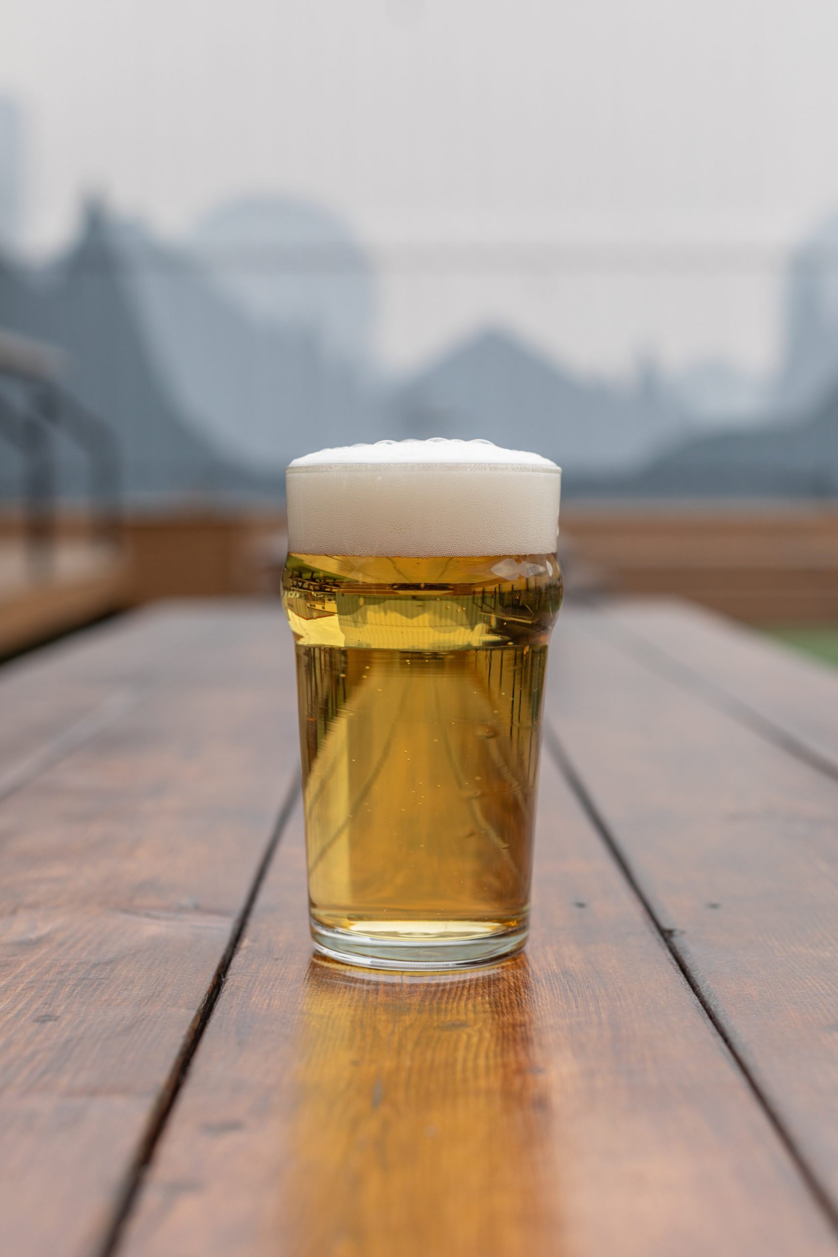 New Year at Red Bird Brewing | Fresh Updates, Events & More